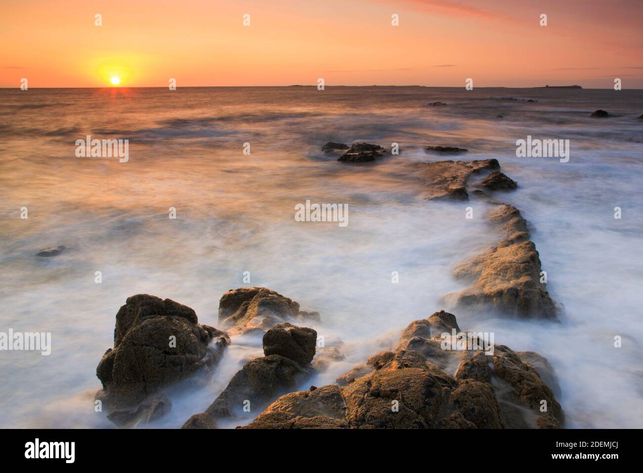 geography / travel, Great Britain, fern Island, Additional-Rights ...