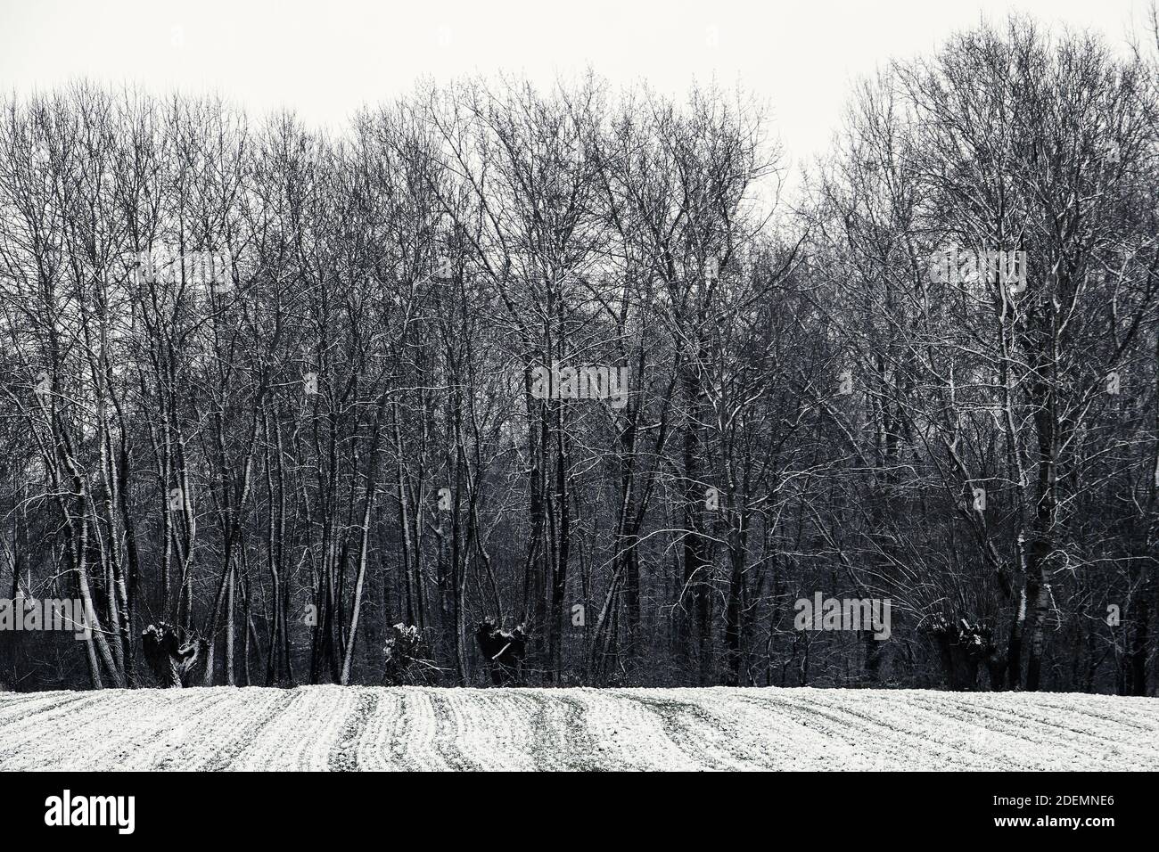 Polish countryside hi-res stock photography and images - Alamy