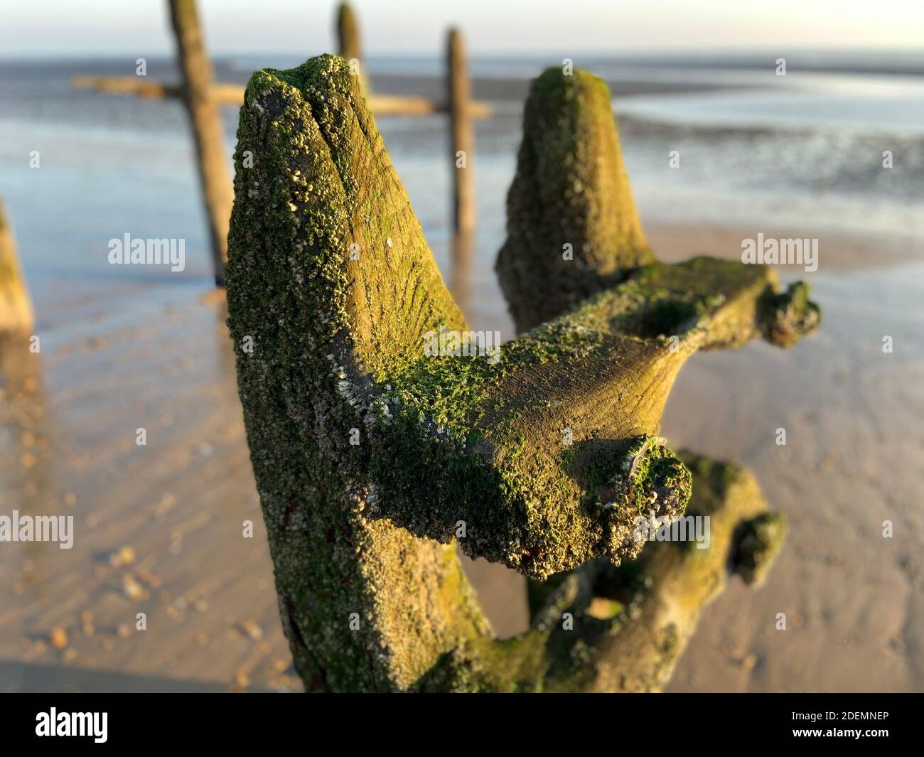 Winchelsea beach landscape view at low tide exposing flat sand with ...