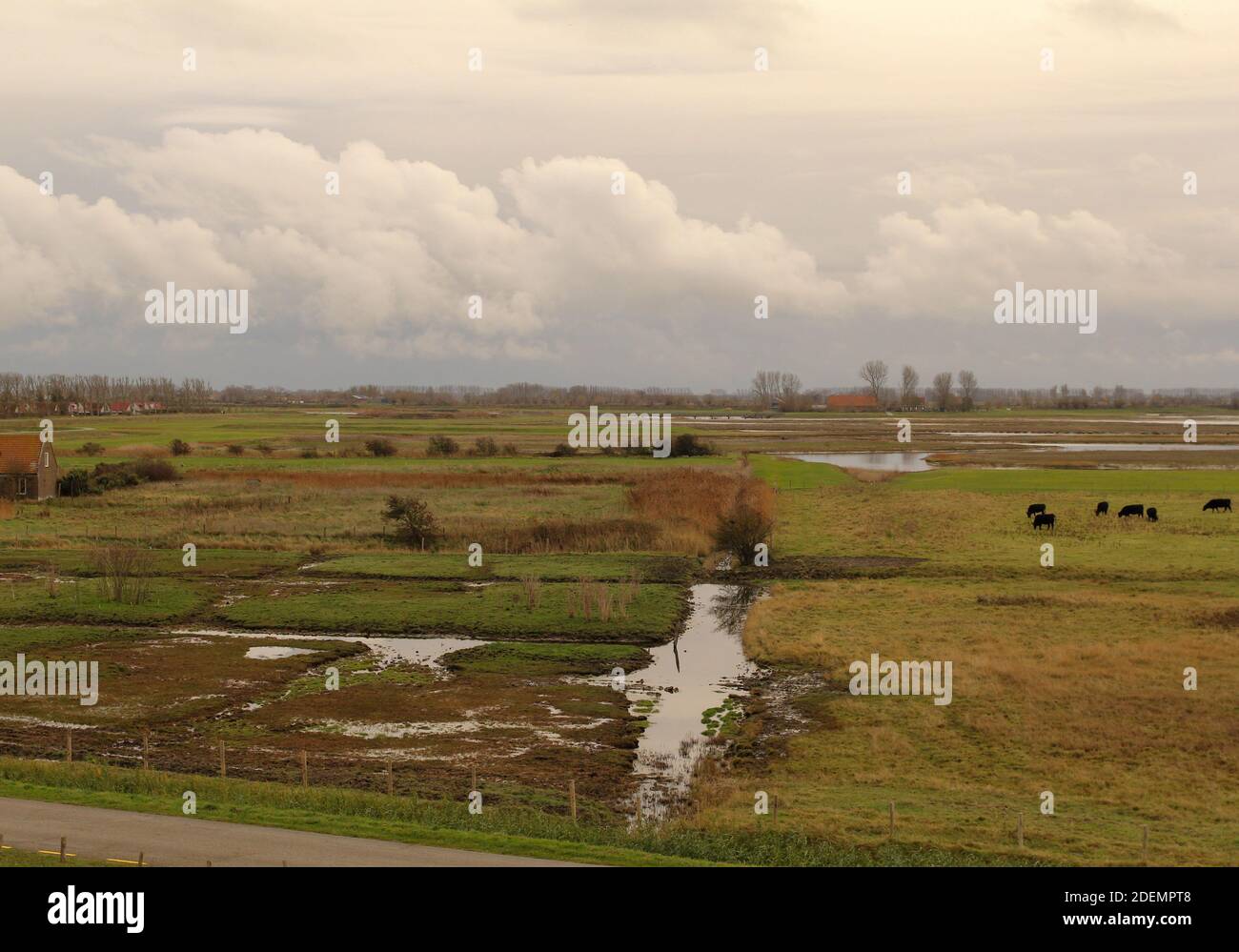 Salt marsh with water ditch at the north sea hi-res stock photography ...
