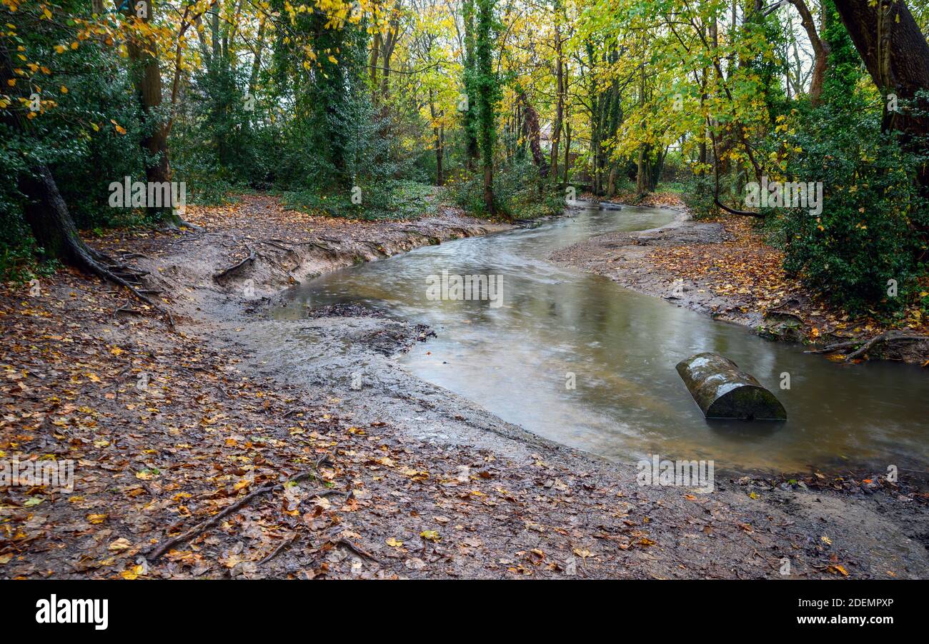 A stream called The Beck in Harvington Park, Beckenham, Kent, UK. The ...
