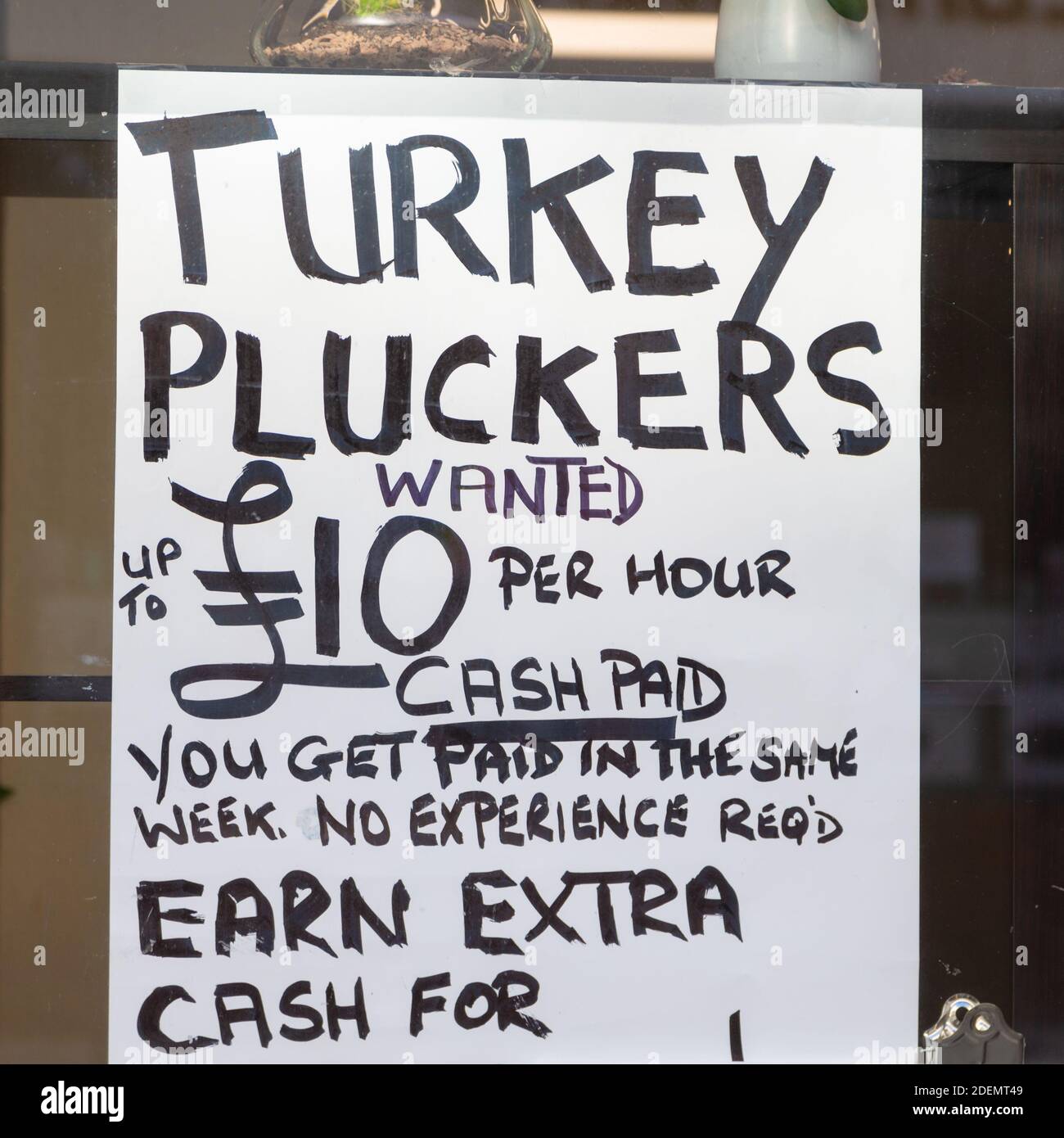 Turkey pluckers hi-res stock photography and images - Alamy