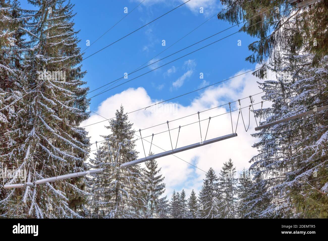 Treetop adventure trail hi-res stock photography and images - Alamy