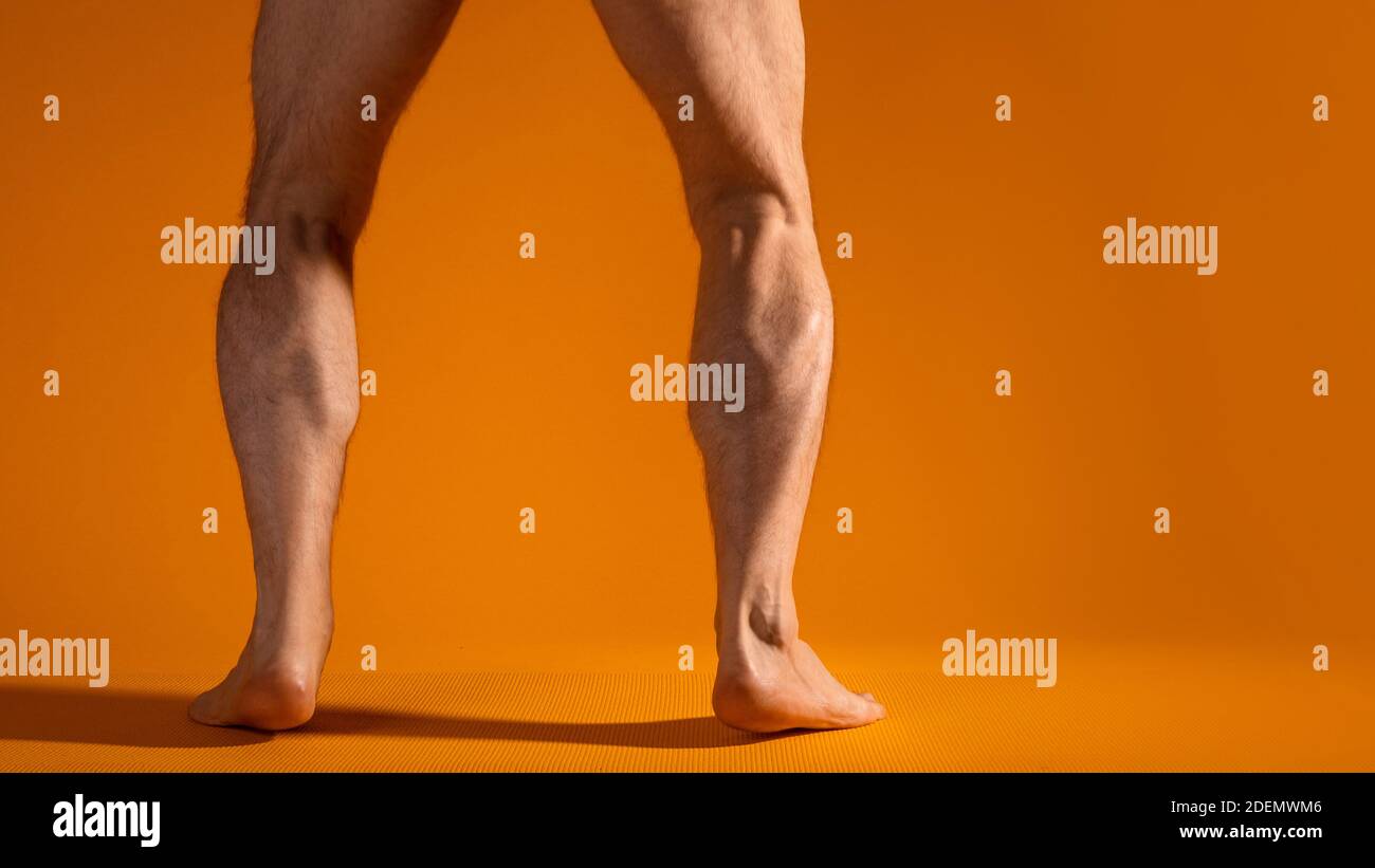 Parts Of Legs To Workout at Samuel Moysey blog