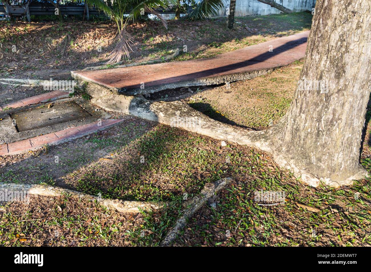 Sidewalk Crack High Resolution Stock Photography and Images - Alamy