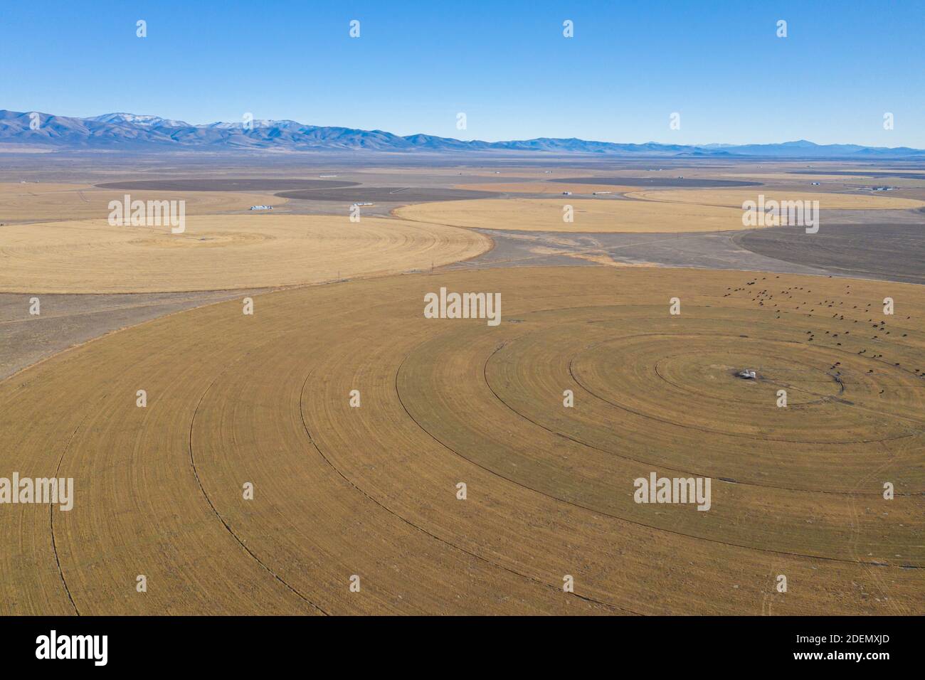 Empty flat desert fields hi-res stock photography and images - Alamy