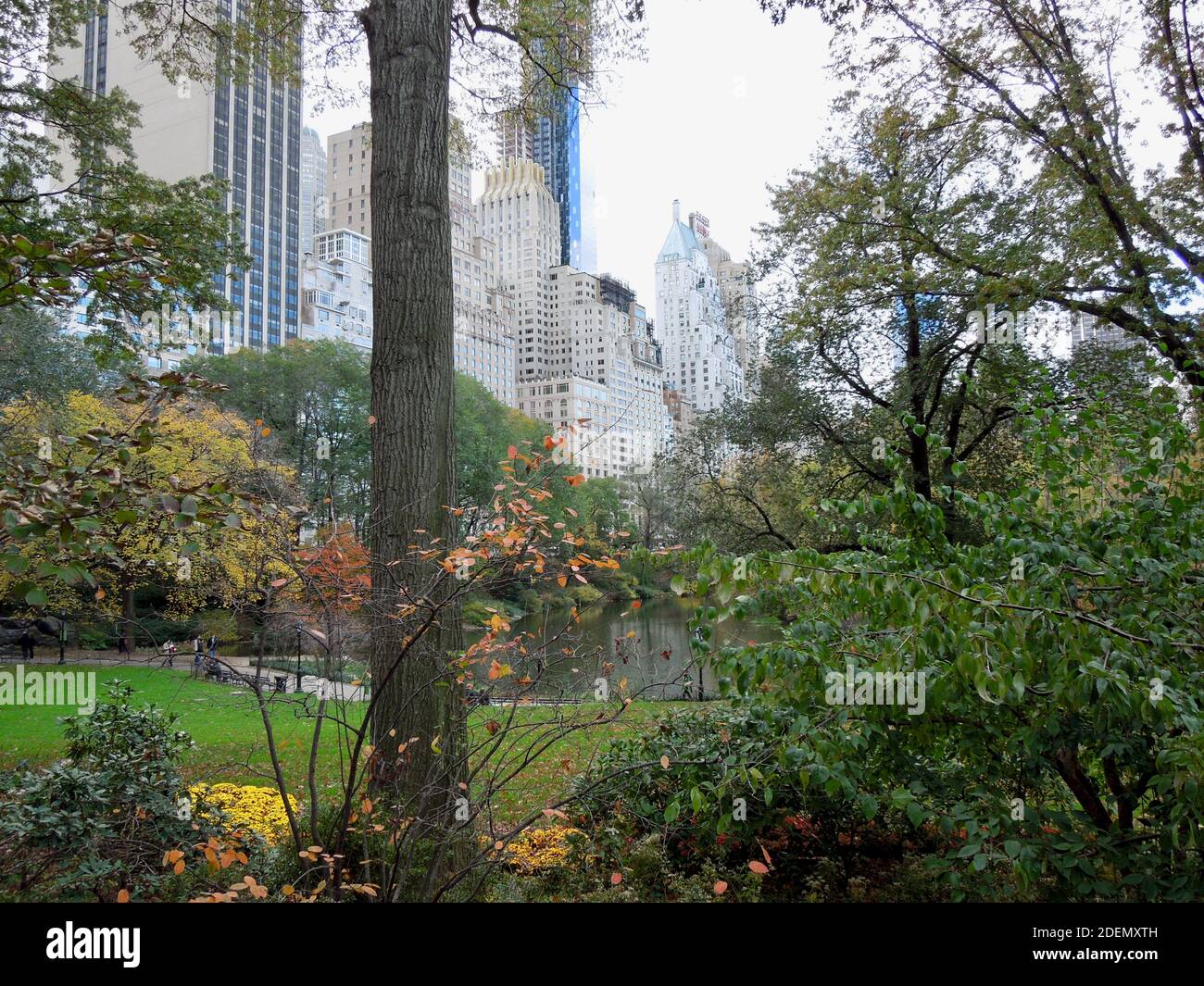 Fall in New York City through the trees in Central Park Stock Photo - Alamy