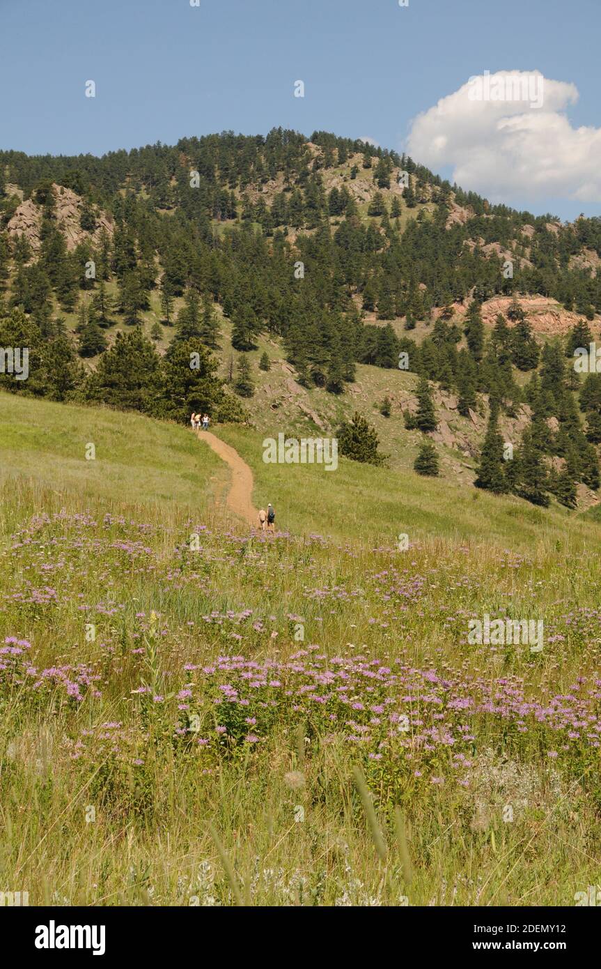 Summer time hike in the foothills of Boulder, Colorado, USA. Hiking ...
