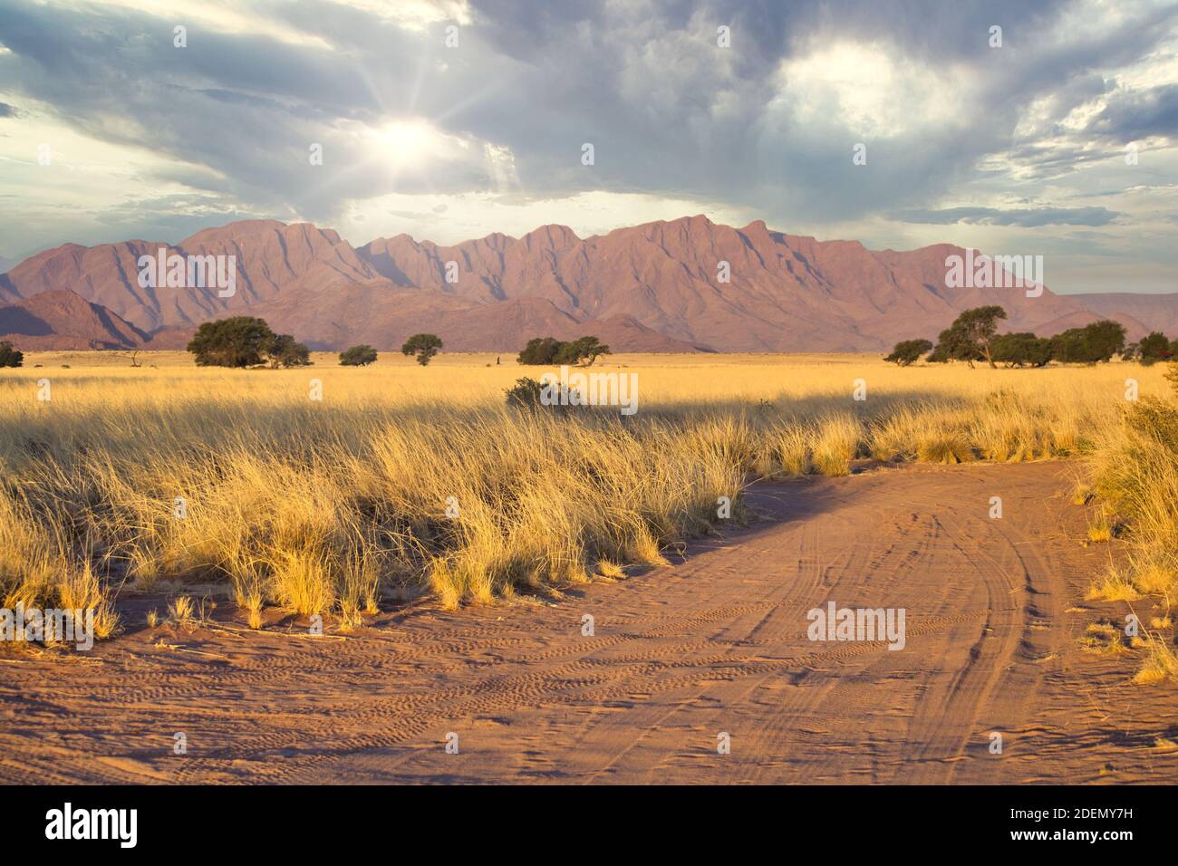 Off-road 4x4 jeep dirt track in Sossusvlei Namibian desert landscape ...