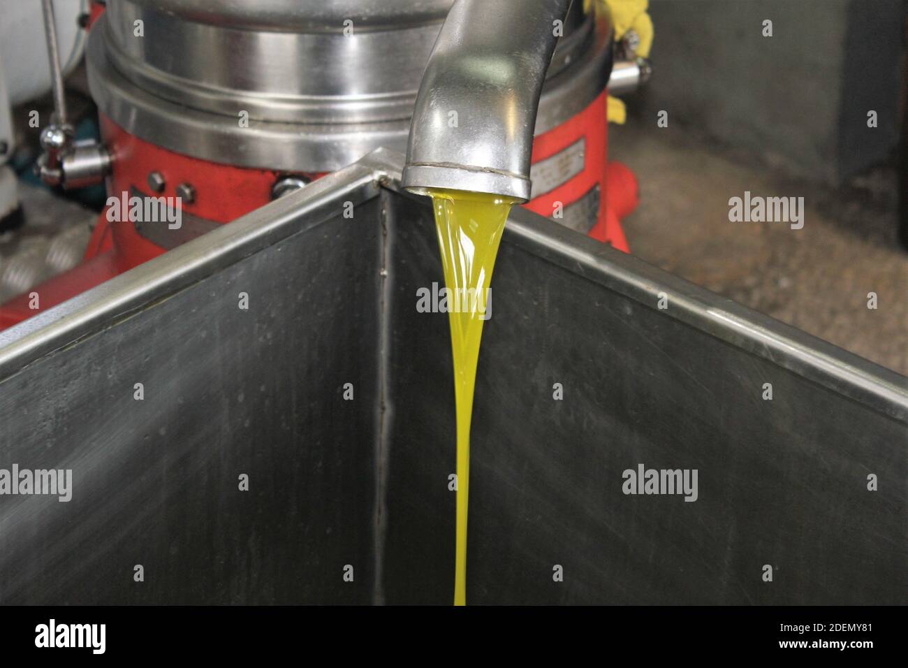 Extra virgin olive oil extraction process in olive oil mill in Greece ...