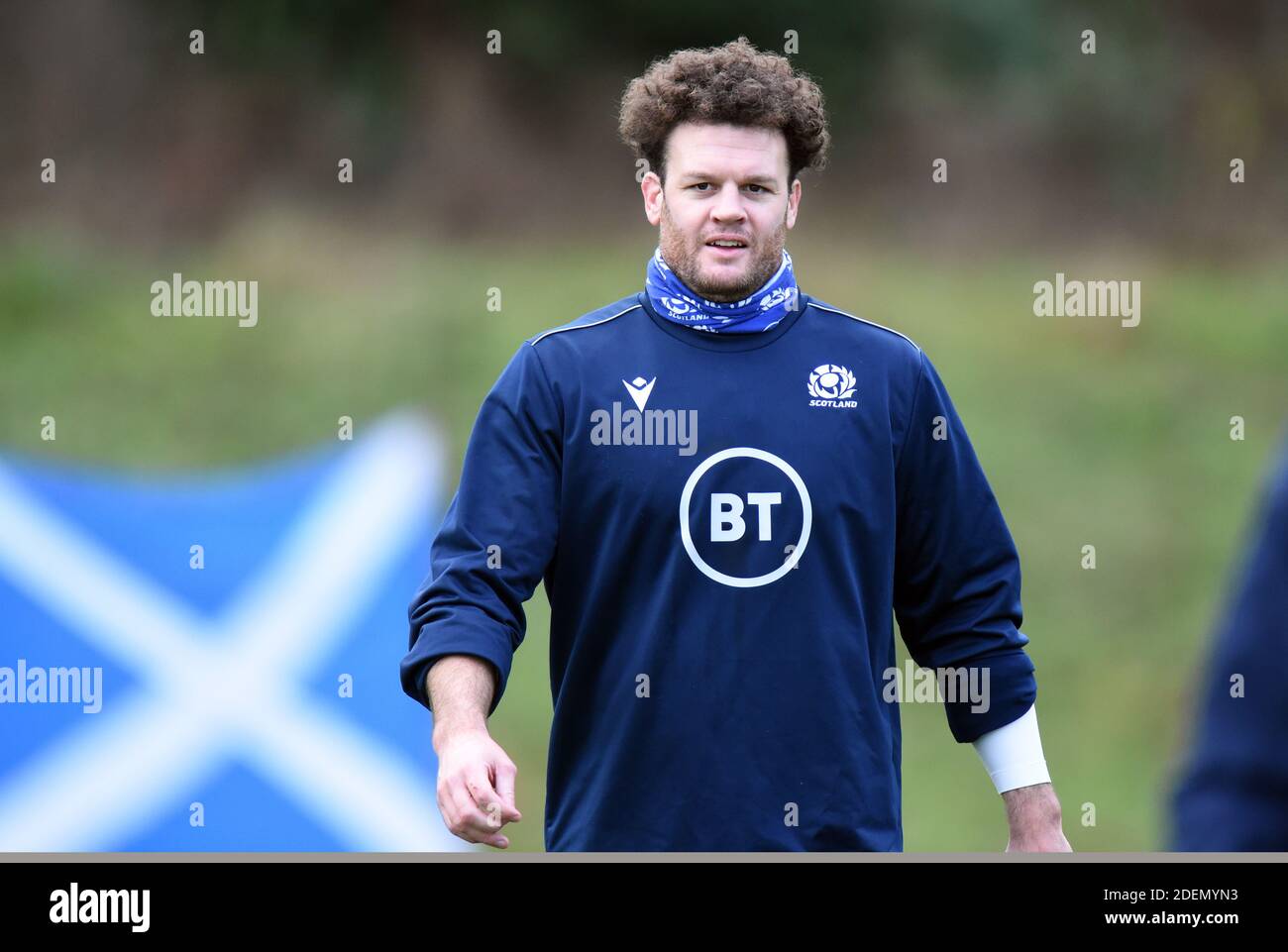 Ireland rugby team autumn nations hi-res stock photography and images ...