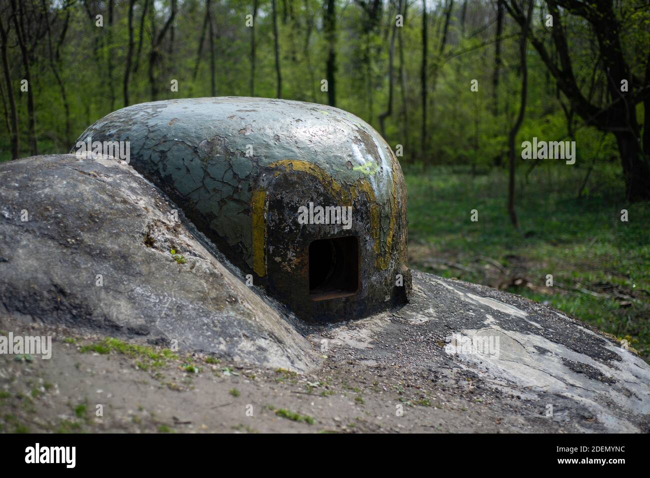 Adolf hitlers rise to power hi-res stock photography and images - Alamy