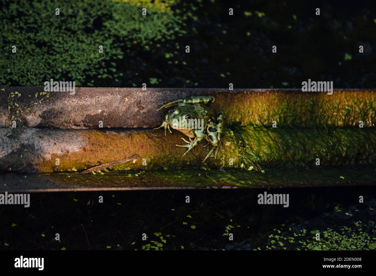 Chilling at the lake hi-res stock photography and images - Alamy