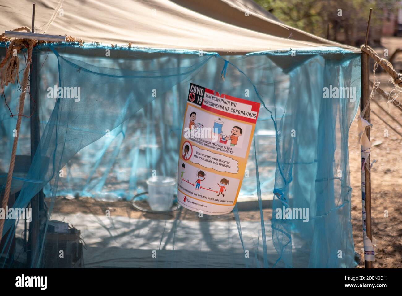 Tsetse fly hi-res stock photography and images - Alamy