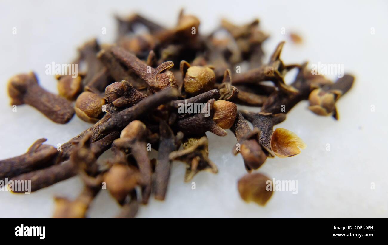 Close up cloves syzygium hi-res stock photography and images - Alamy