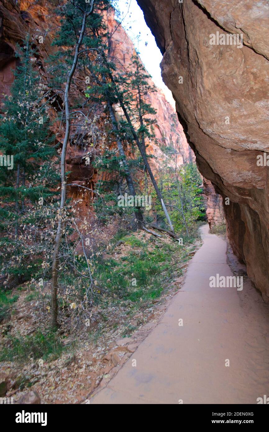 Hiking trail at Angels Landing in Zion national park, Utah, USA. Travel ...