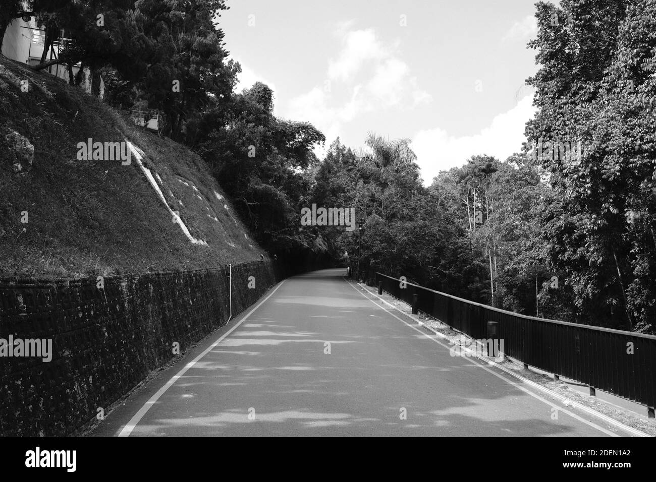 A Shady Road into the Mountain Woods Stock Photo - Alamy