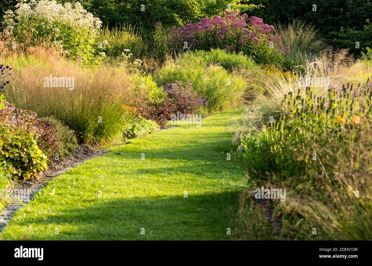 Grass path between two borders Stock Photo - Alamy
