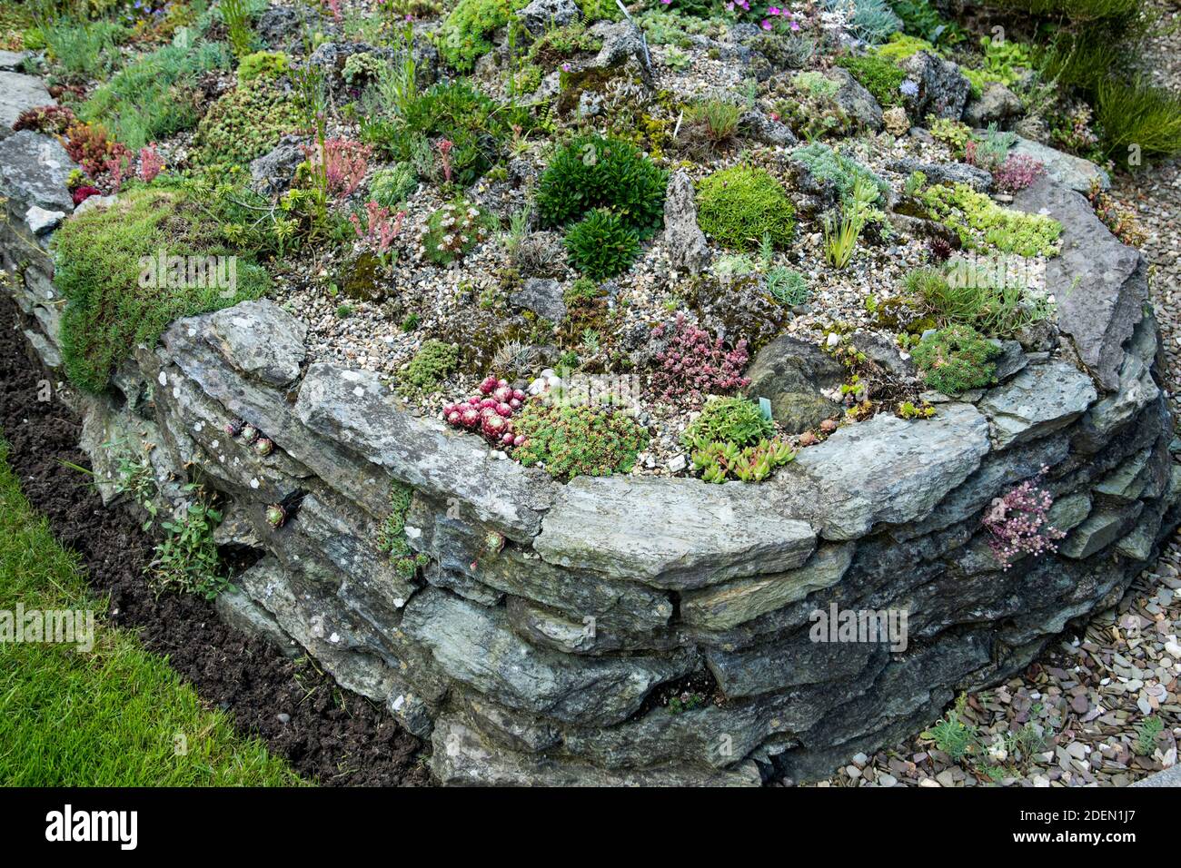 Rockgarden hi-res stock photography and images - Alamy