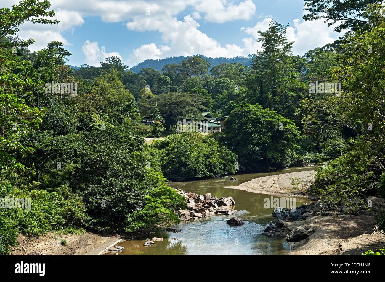 River flowing through lowland rainforest hi-res stock photography and ...