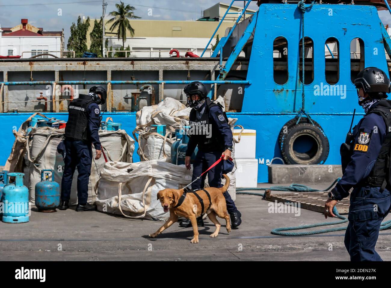 Manila, Philippines. 1st Dec, 2020. A bomb-sniffing dog is seen with ...