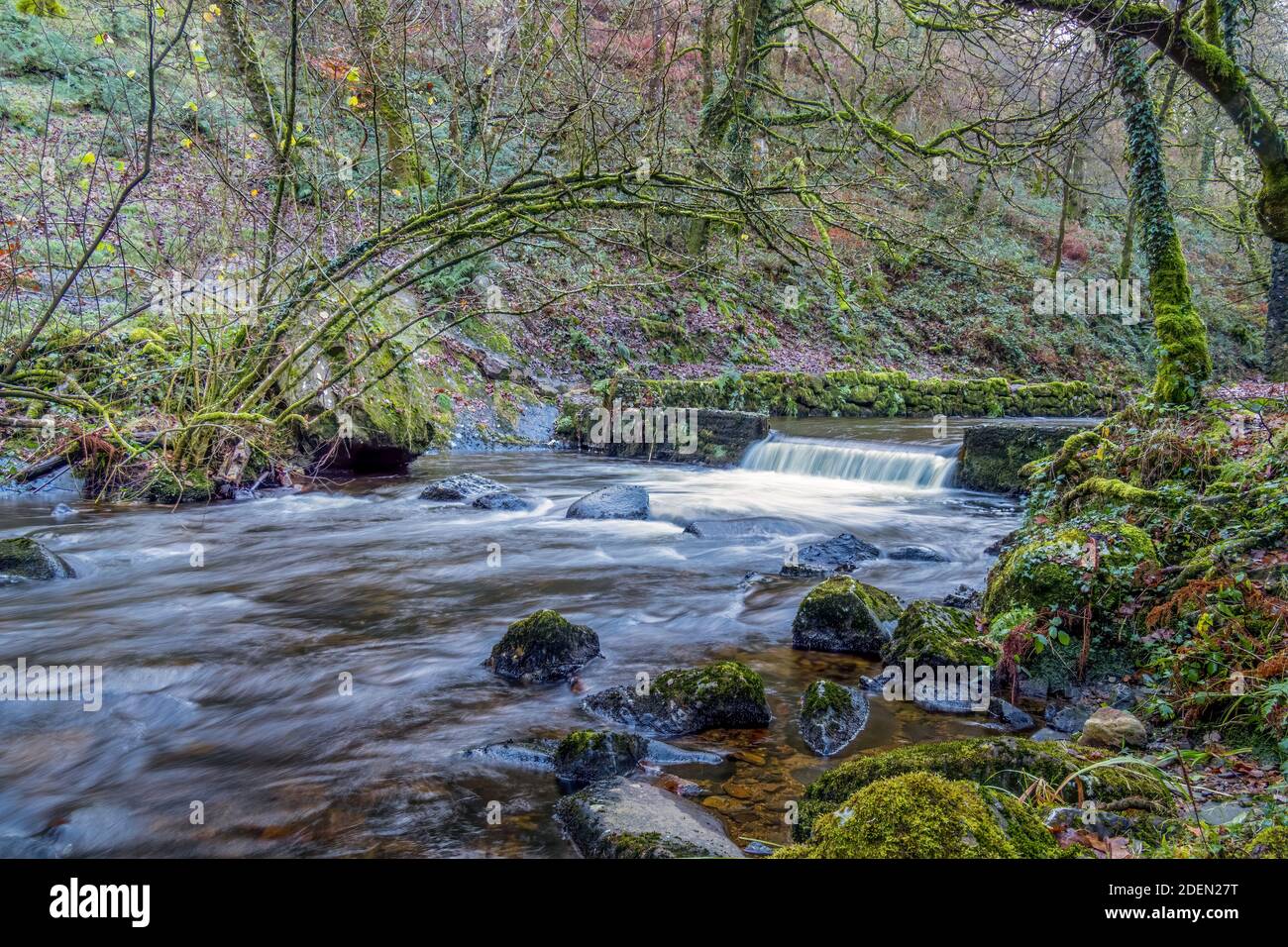 Dartmoor scene hi-res stock photography and images - Alamy