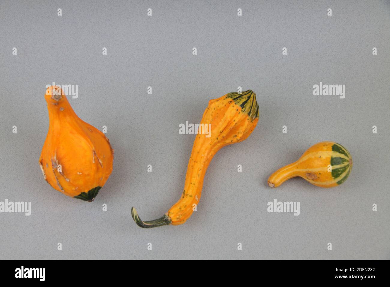 Three pumpkins isolated on hi-res stock photography and images - Alamy