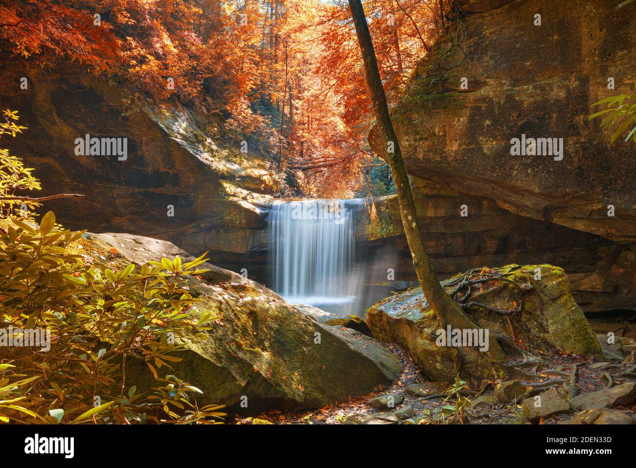 Daniel boone national forest hi-res stock photography and images - Alamy
