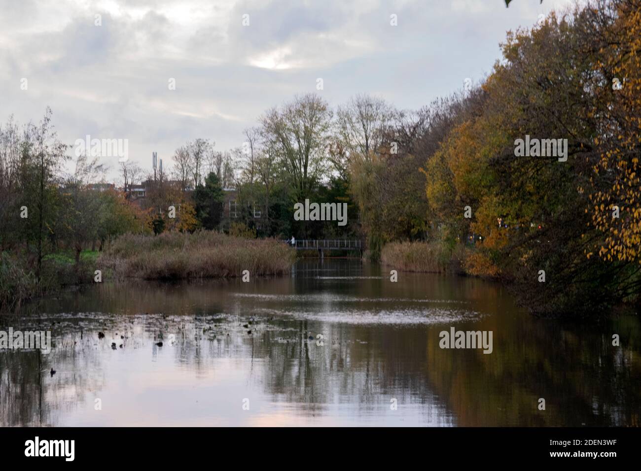 Pond At The Frankendael Park At Amsterdam The Netherlands 17-11-2020 ...
