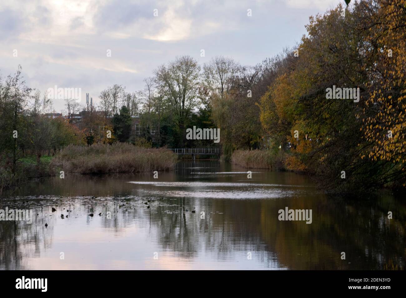 Pond At The Frankendael Park At Amsterdam The Netherlands 17-11-2020 ...