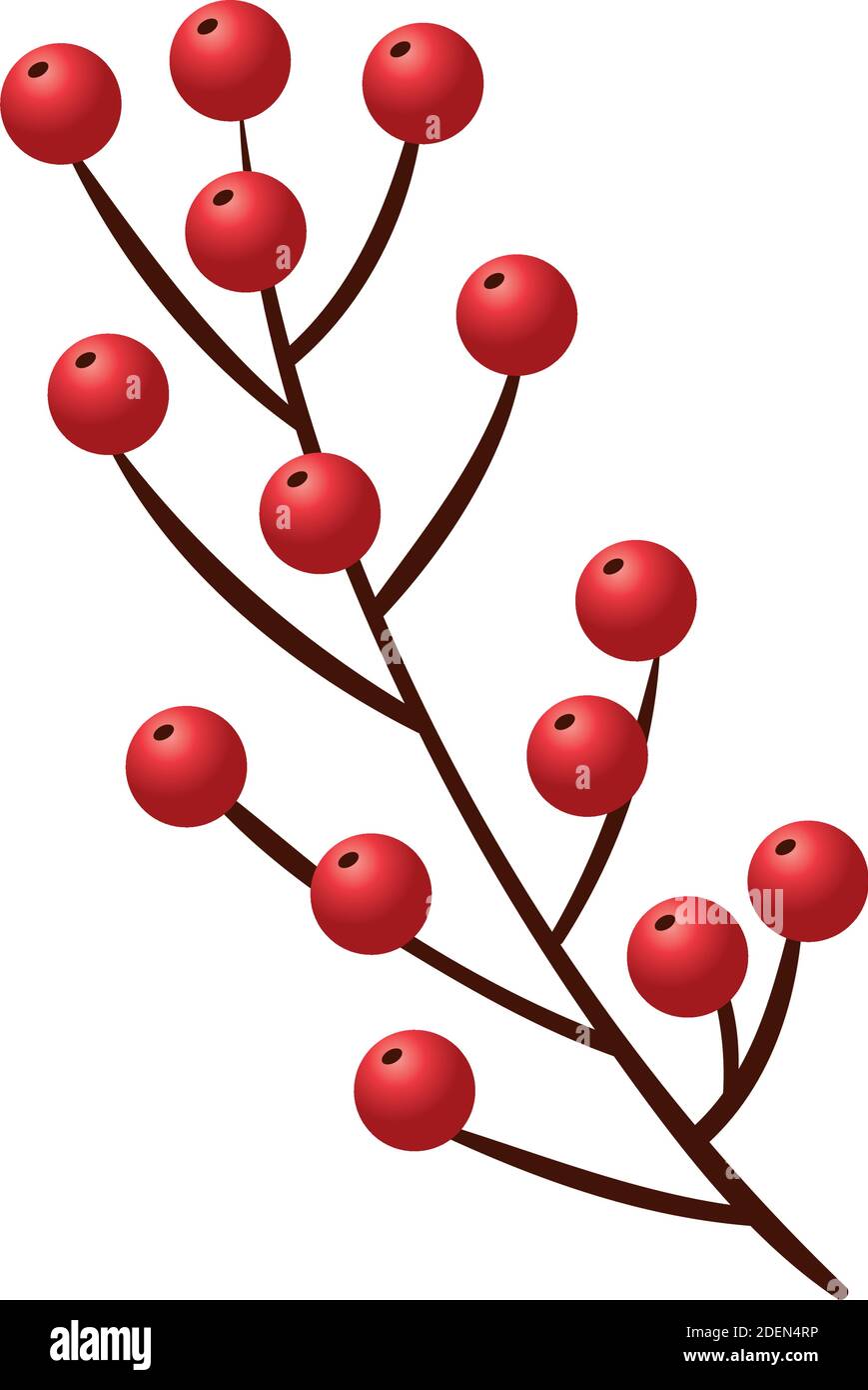 christmas branch and seeds decorative icon Stock Vector Image & Art - Alamy