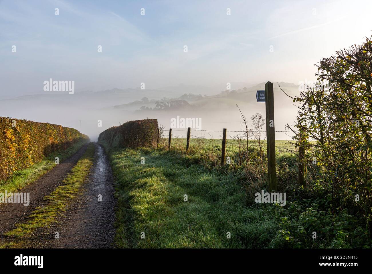 Devon footpath,Dunsford,- Scenery, Tranquility, Woodland, Adventure ...