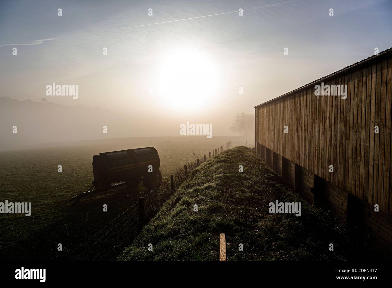 Agricultural Field, Agriculture, Animal, Atmospheric Mood, Autumn ...