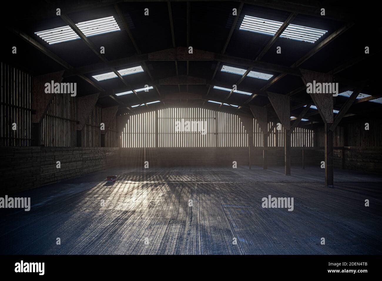 Physical Activity Level High Resolution Stock Photography and Images ...