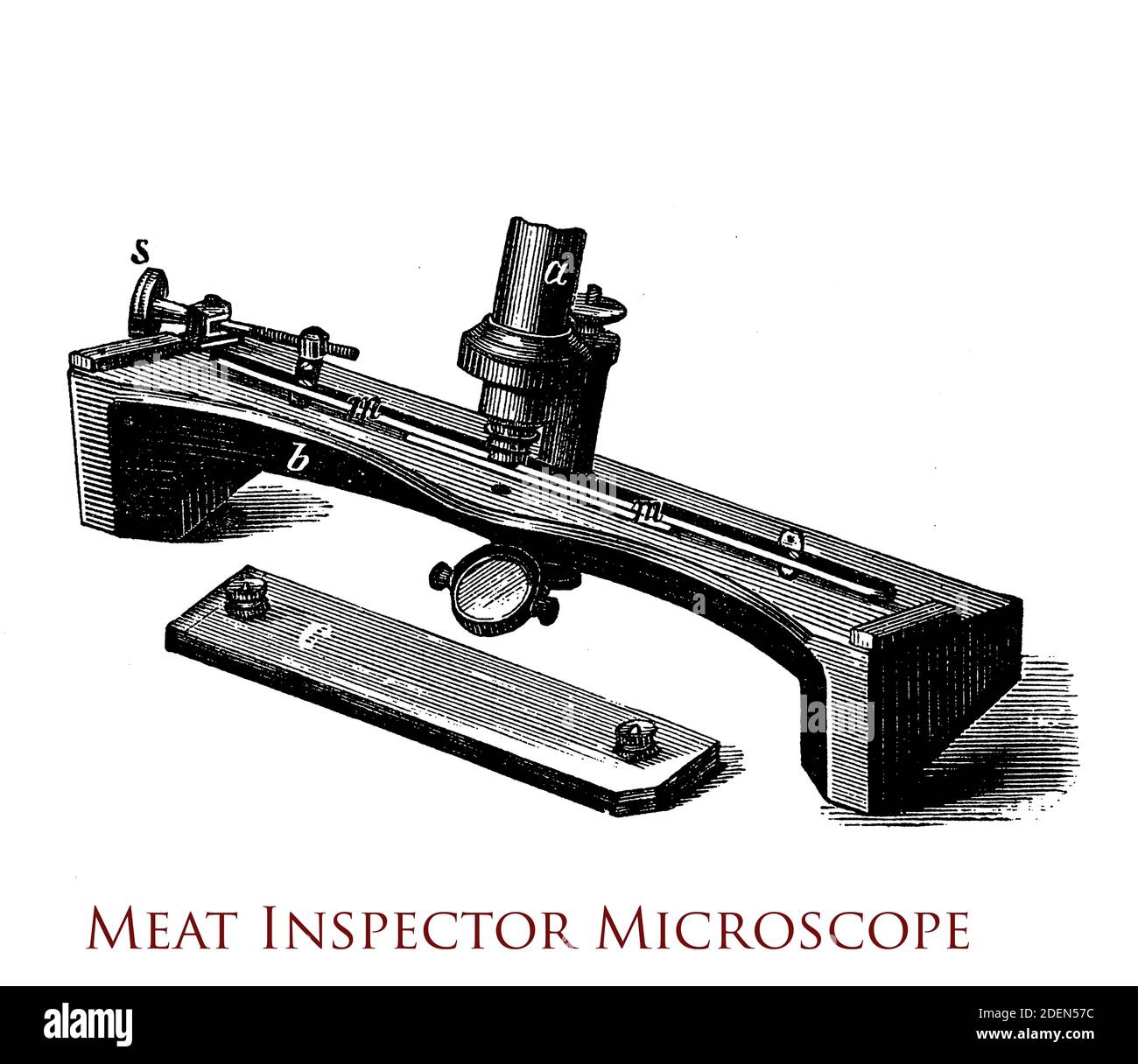 Meat inspector microscope, portable especially designed to be carried ...
