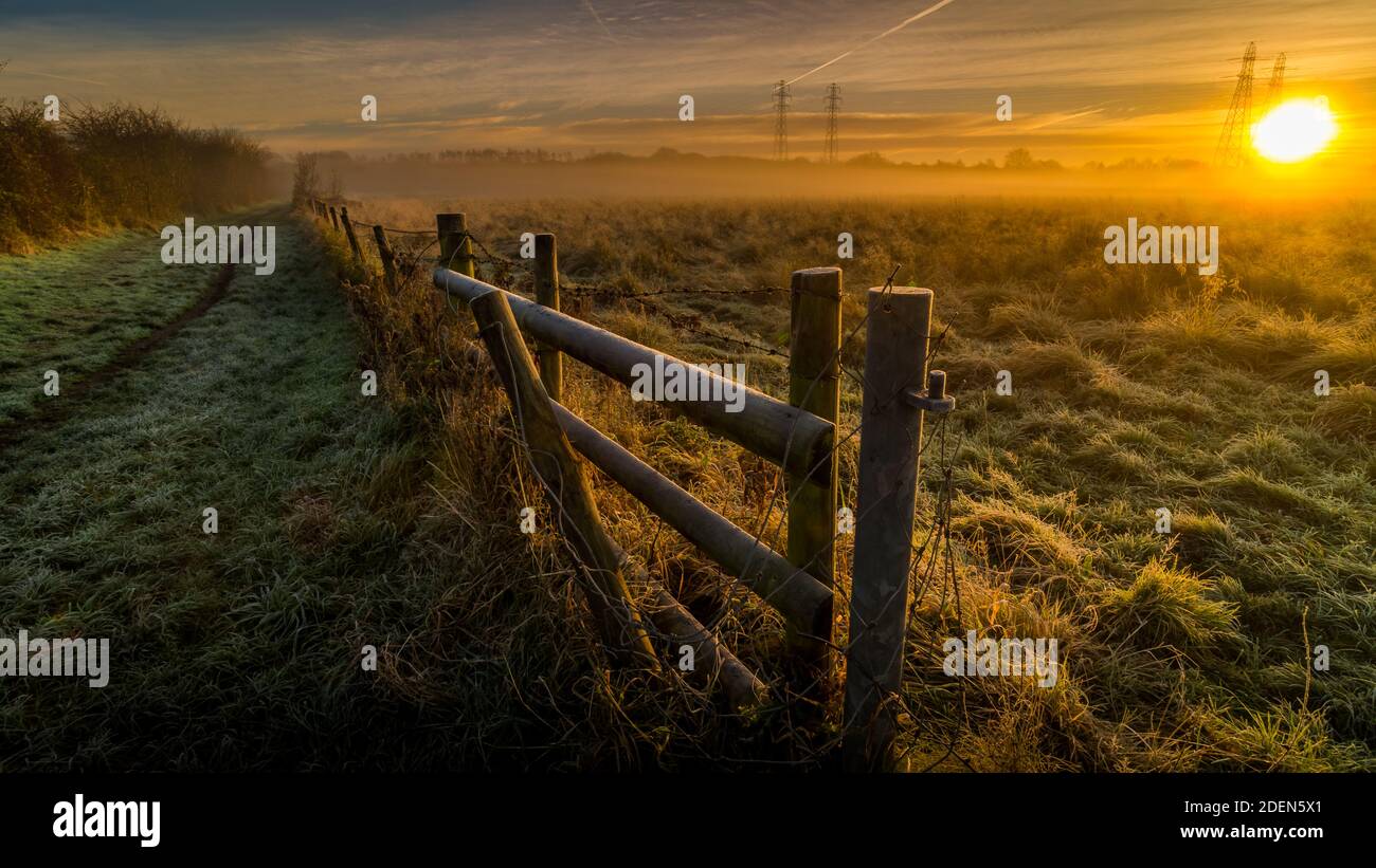 Grassland grazing fence hi-res stock photography and images - Alamy