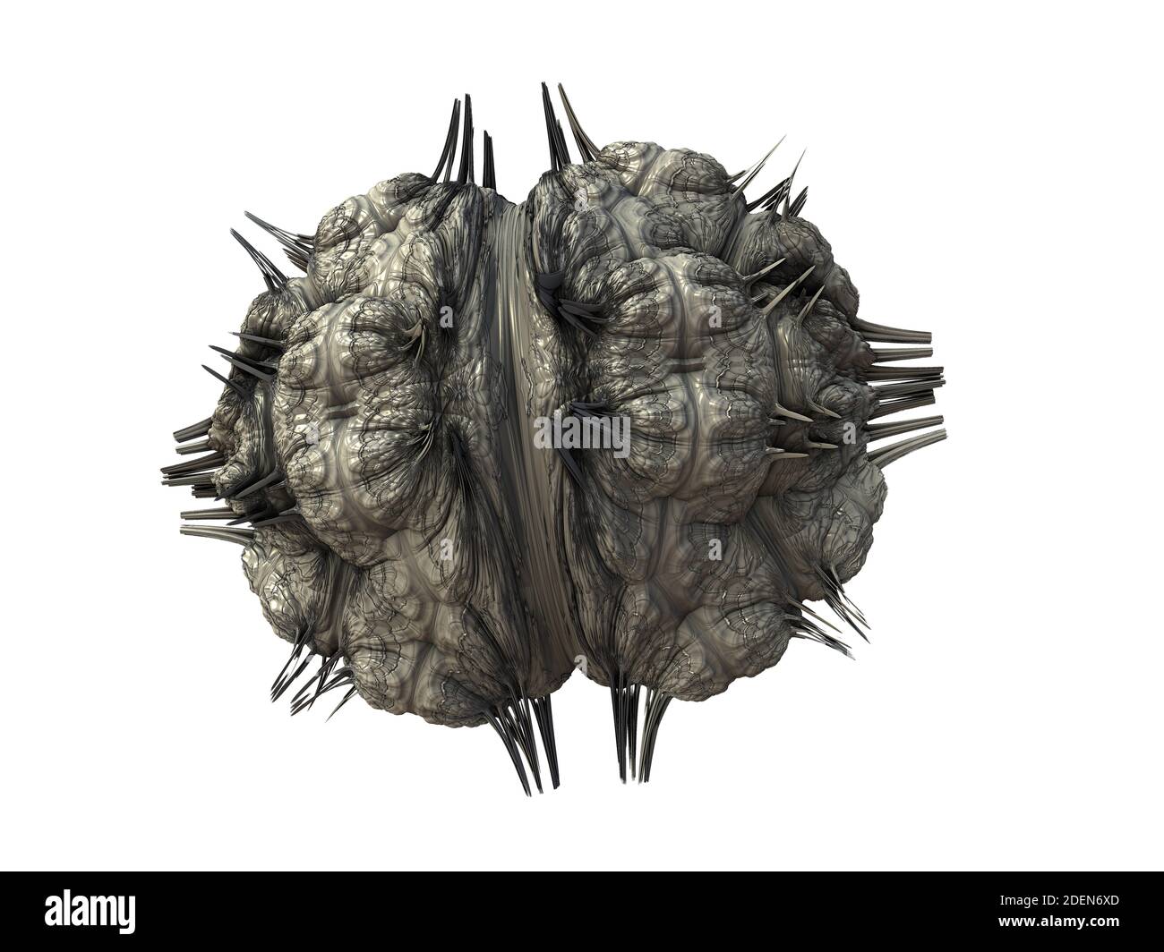 3d render brain on Cut Out Stock Images & Pictures - Alamy