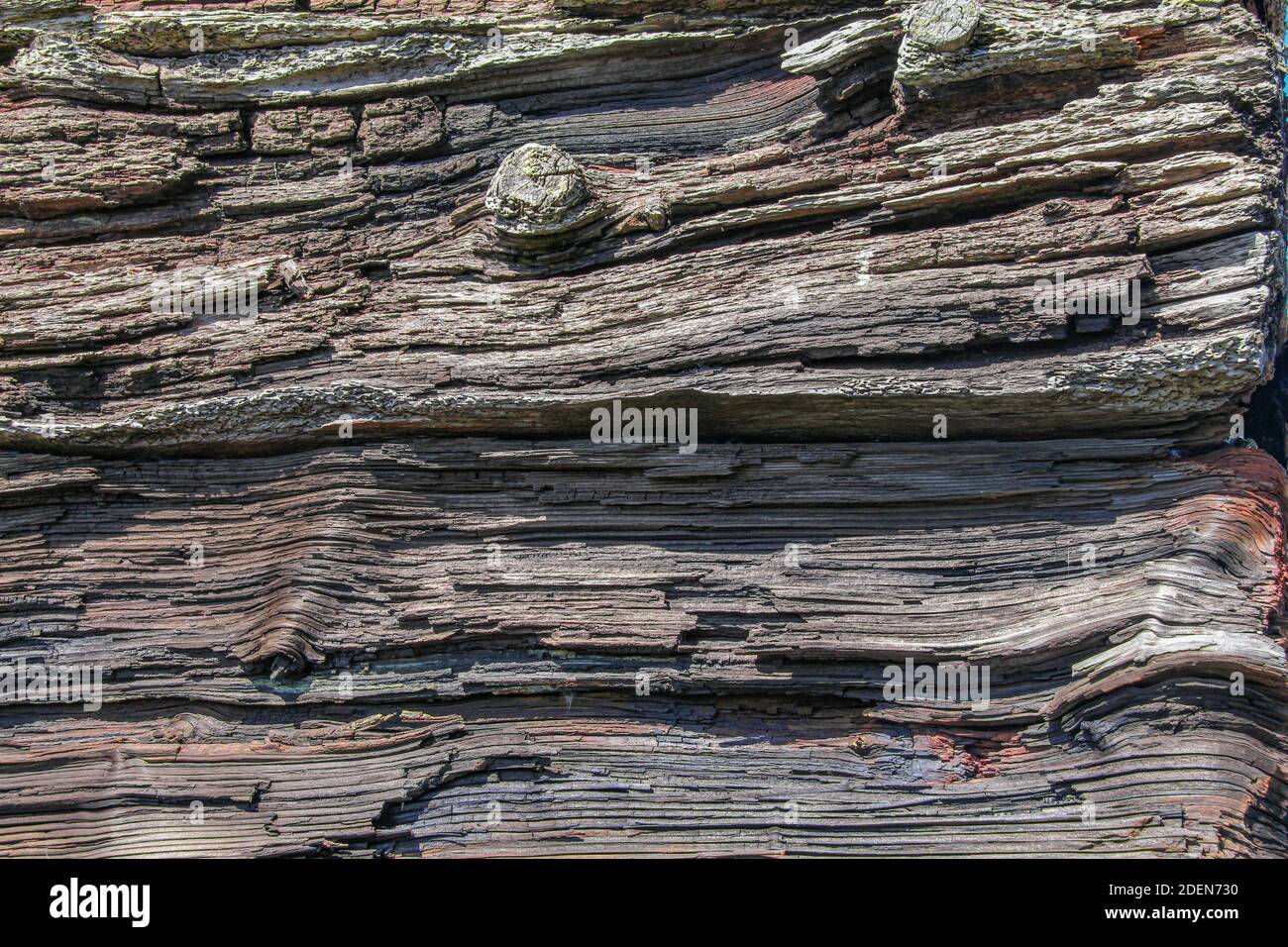 Decayed timber pattern Stock Photo - Alamy