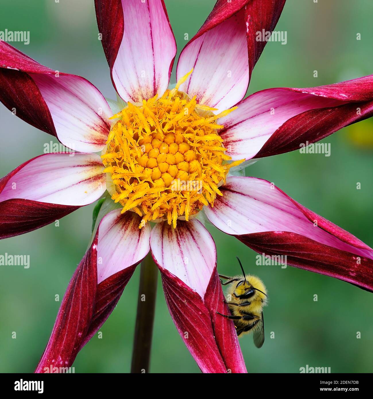 Point defiance park hi-res stock photography and images - Alamy