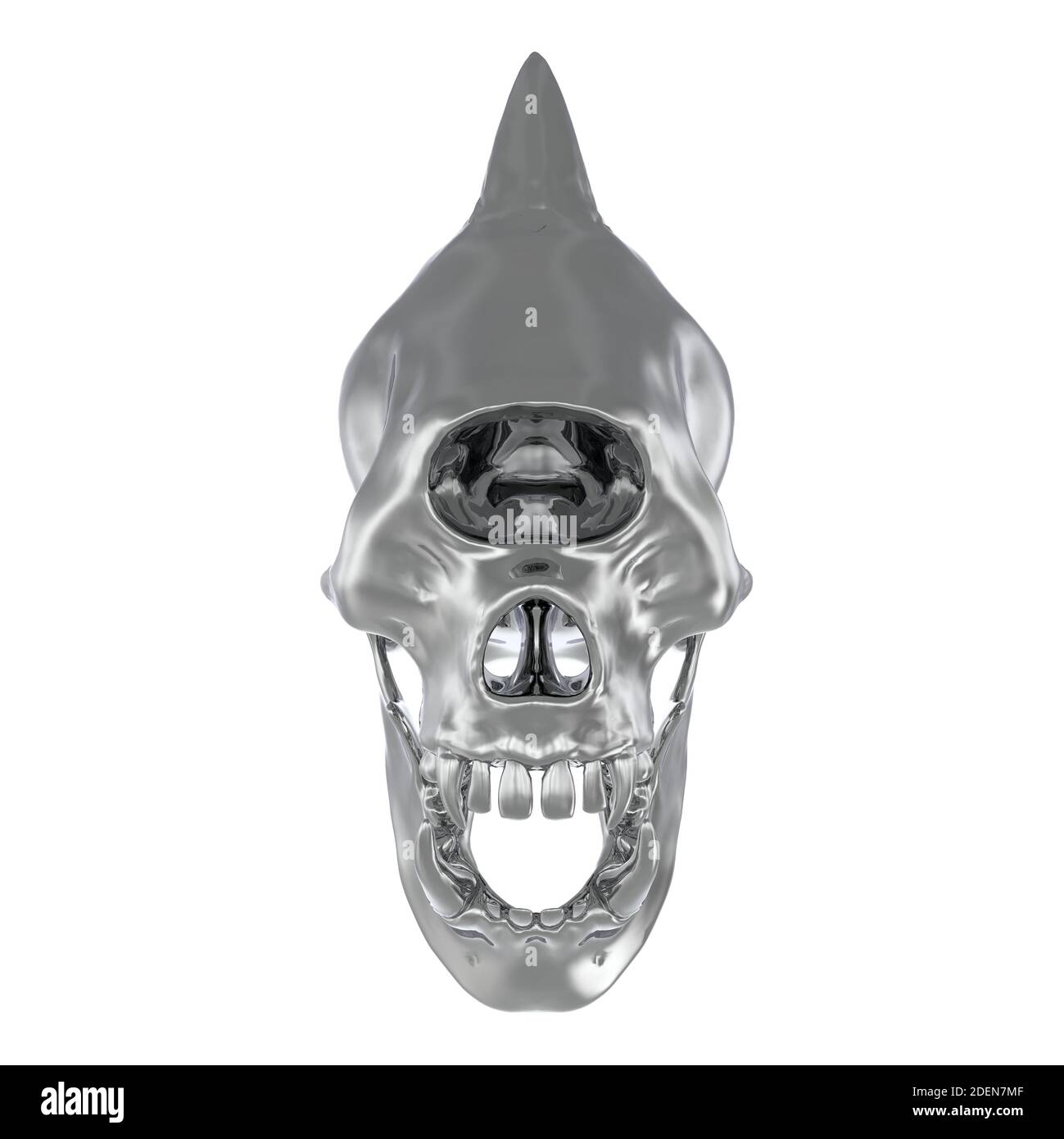 3D illustration monster metal skull isolated on white background Stock ...