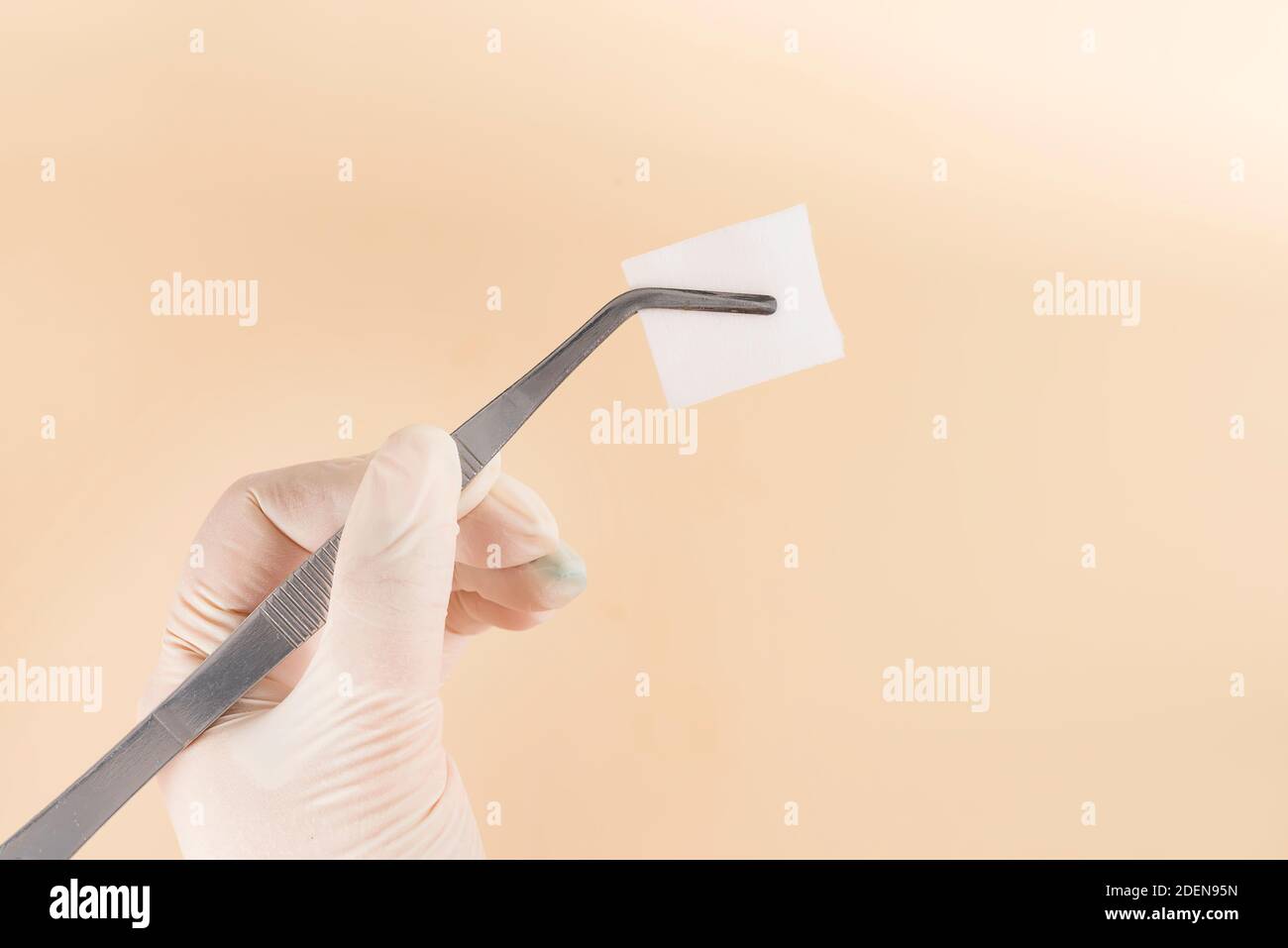 White swab clamped in metal surgical forceps. Accessories for doctors ...