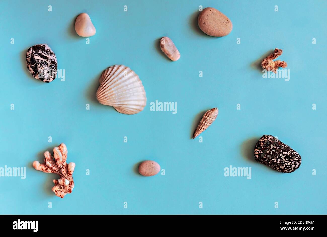 Abstract blue background with sea objects - pebble stones, seashells ...