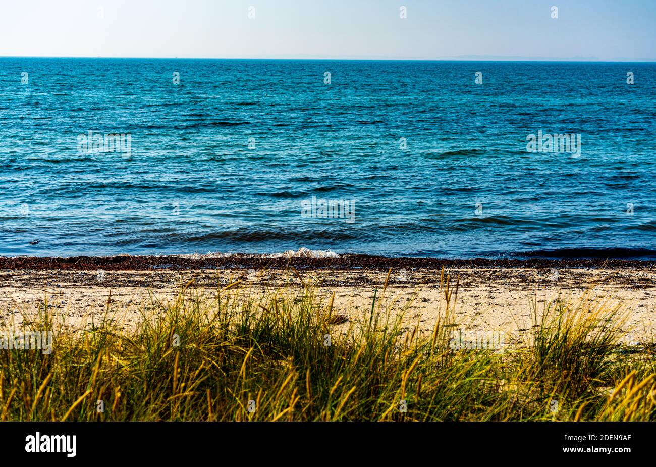 Beautiful classic beach in Scandinavia with sand, grass, seaweed and ...