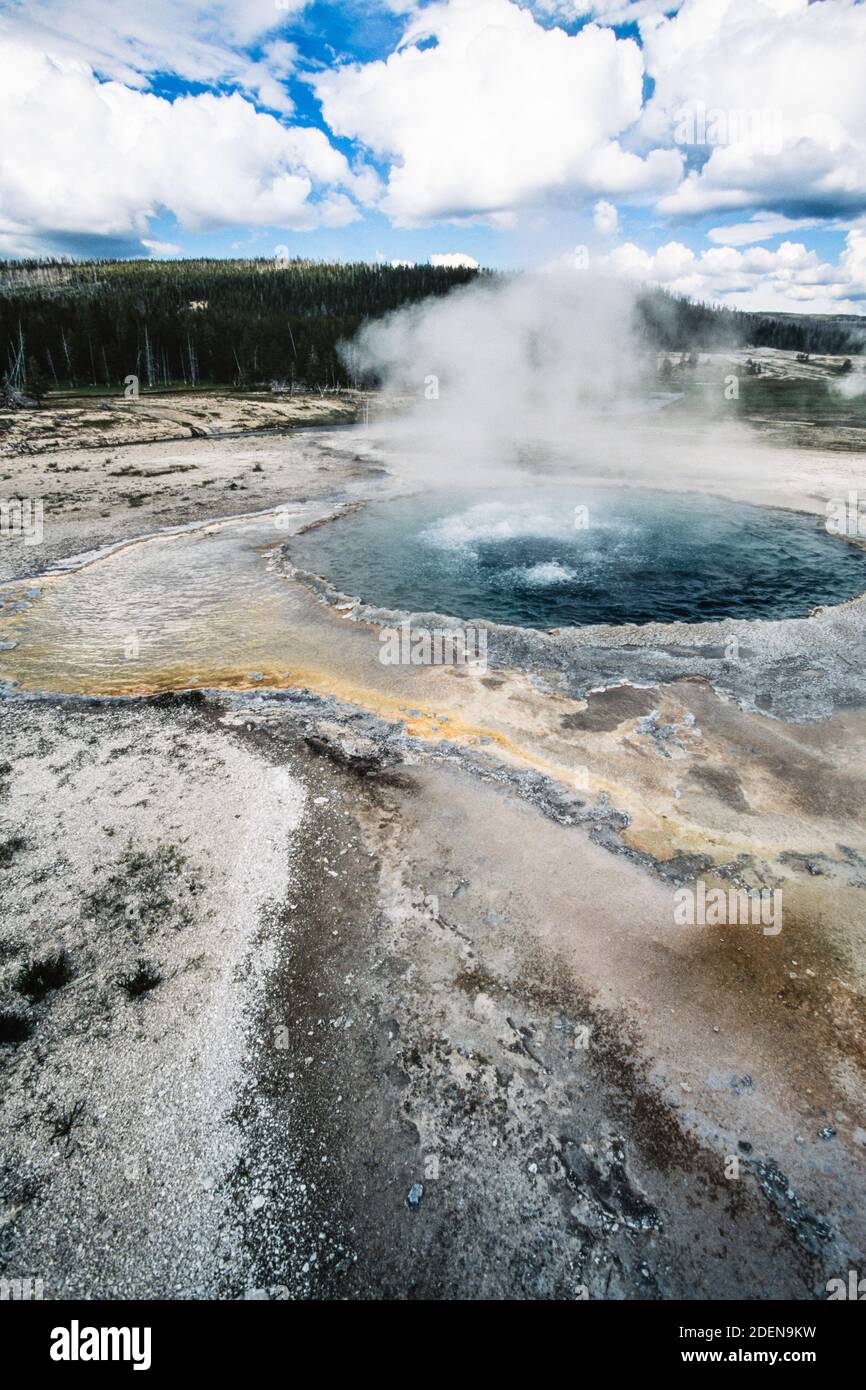The Crested Pool is a bubble-shower spring by Castle Geyser in the ...