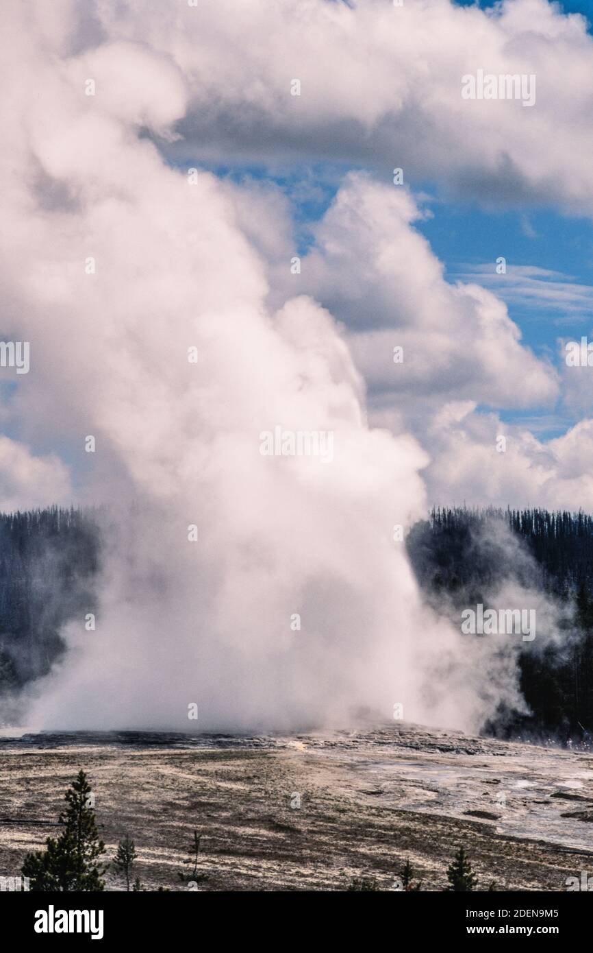 Old faithful yellowstone national public hi-res stock photography and ...