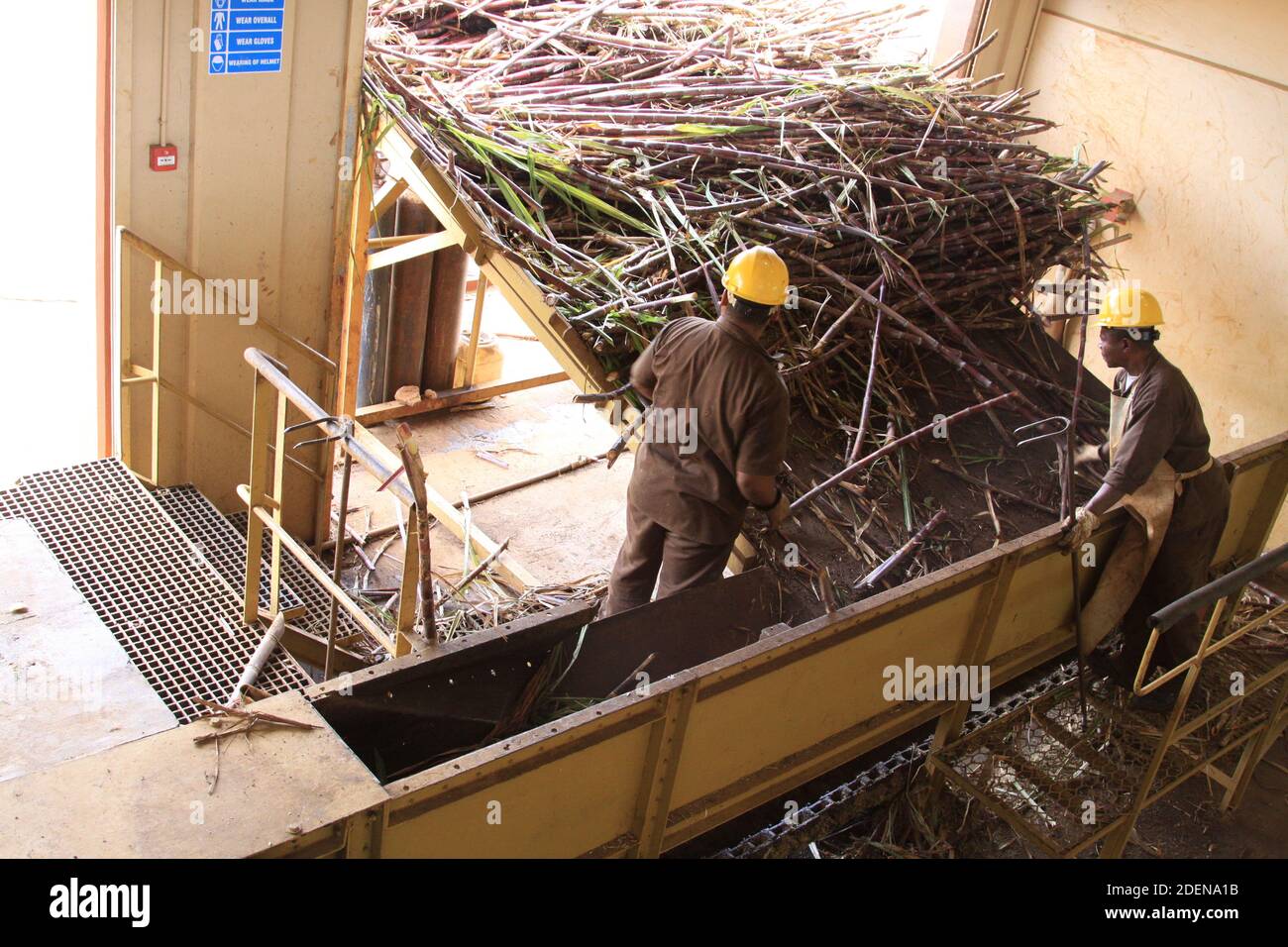 Rhumerie de Chamarel, Mauritius Stock Photo - Alamy