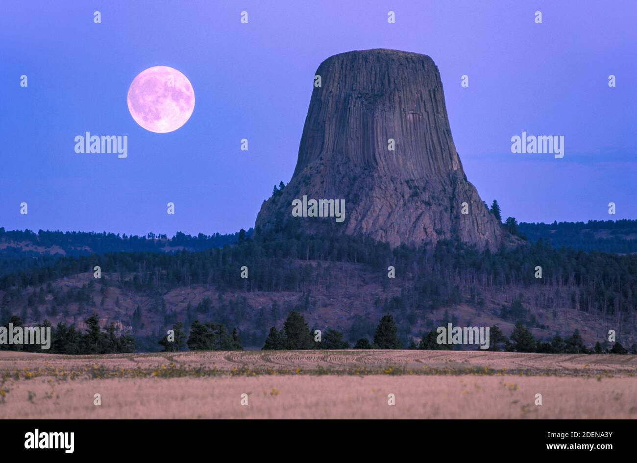 USA, Black Hills, Wyoming, Crook county, Devils Tower ,National ...