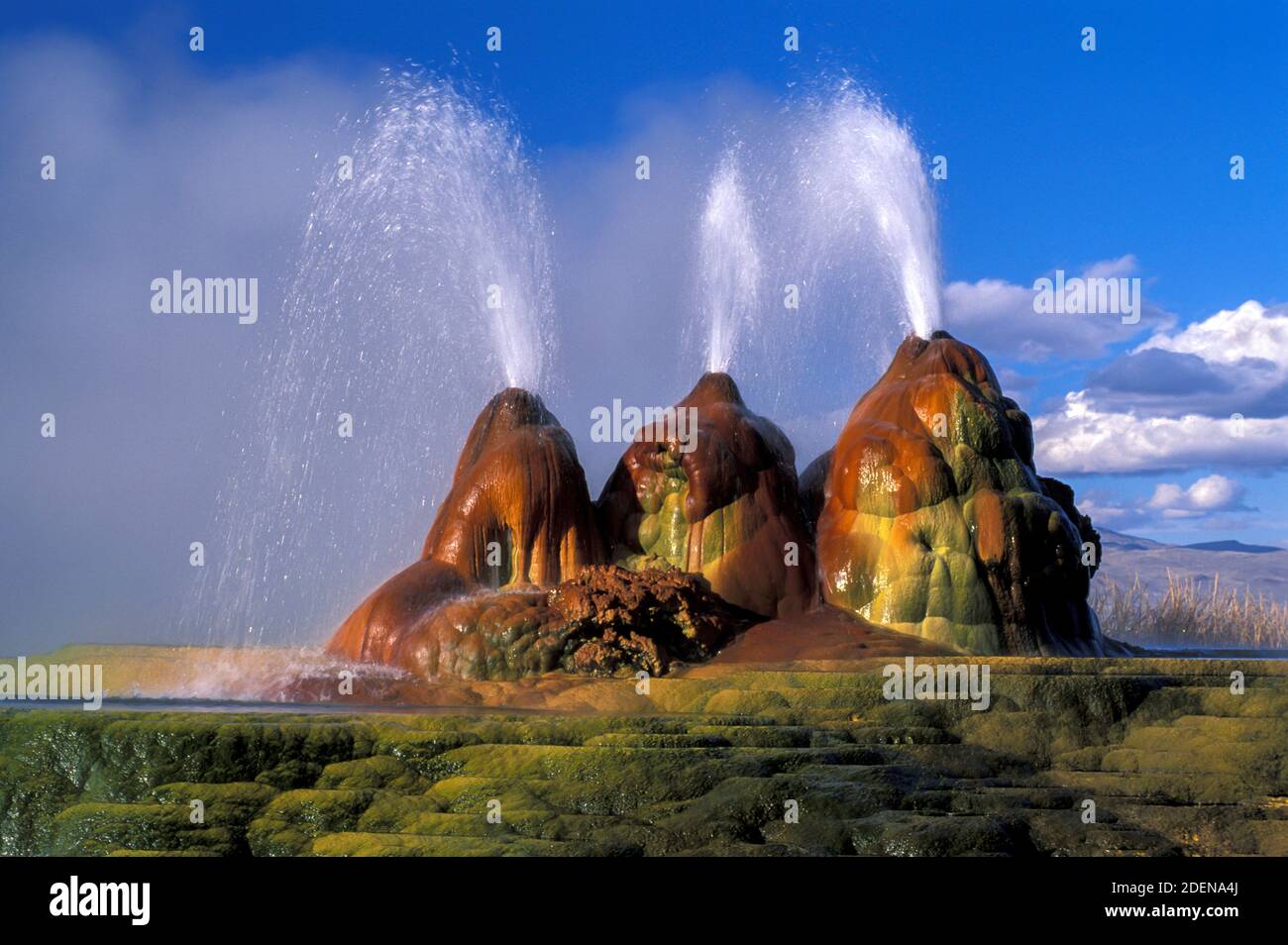 USA, Great Basin, Nevada,Washoe County, Fly Ranch Geyser Stock Photo ...