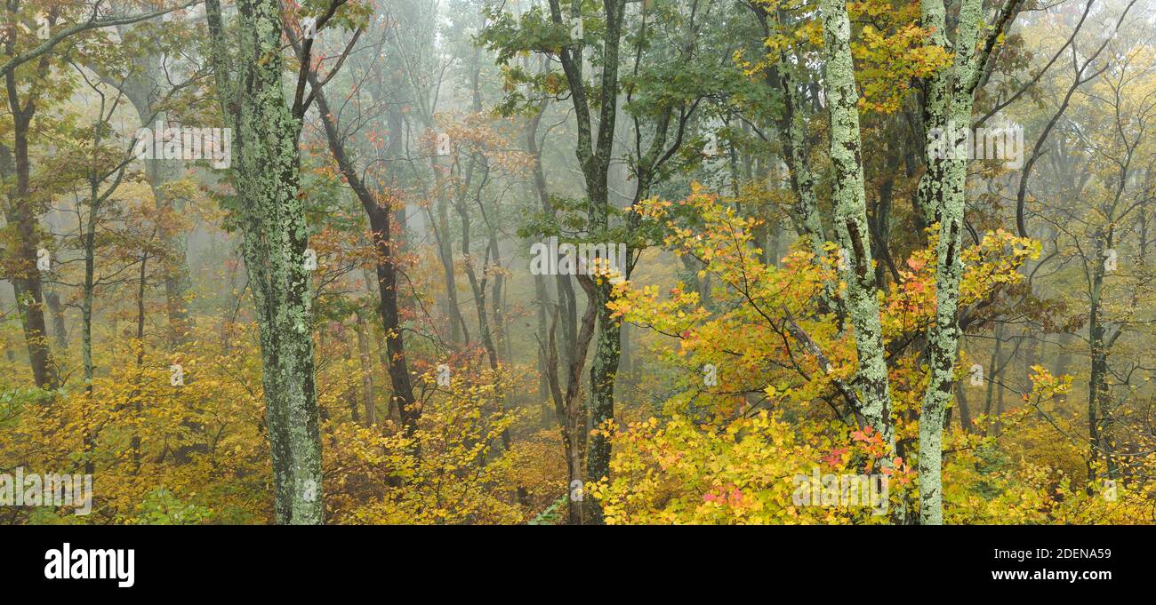 North America, American, USA, East Coast, Appalachian Mountains ...