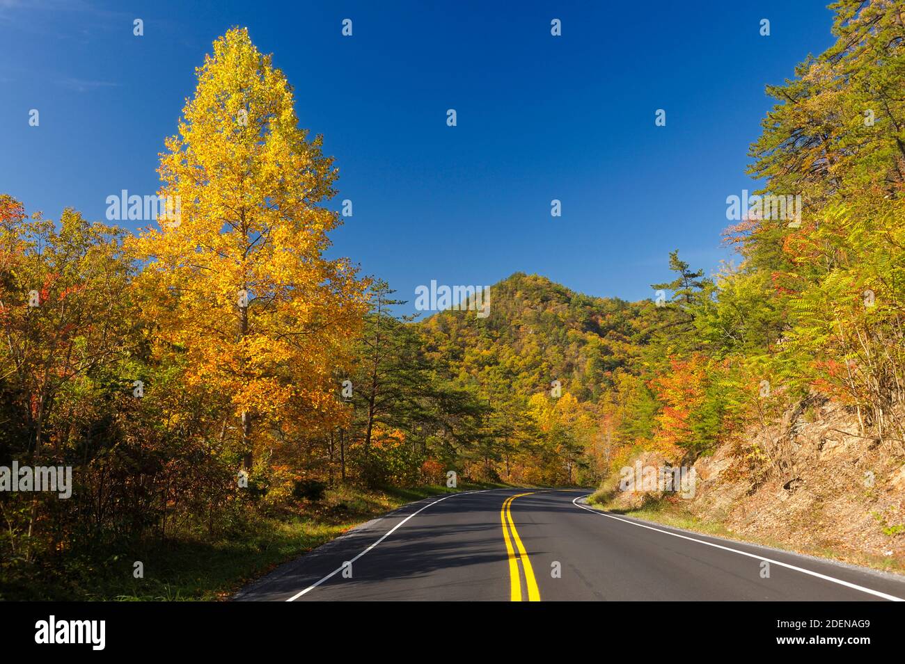 North America, American, USA, East Coast, Appalachian Mountains ...